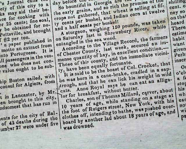 Davy Crockett... - RareNewspapers.com