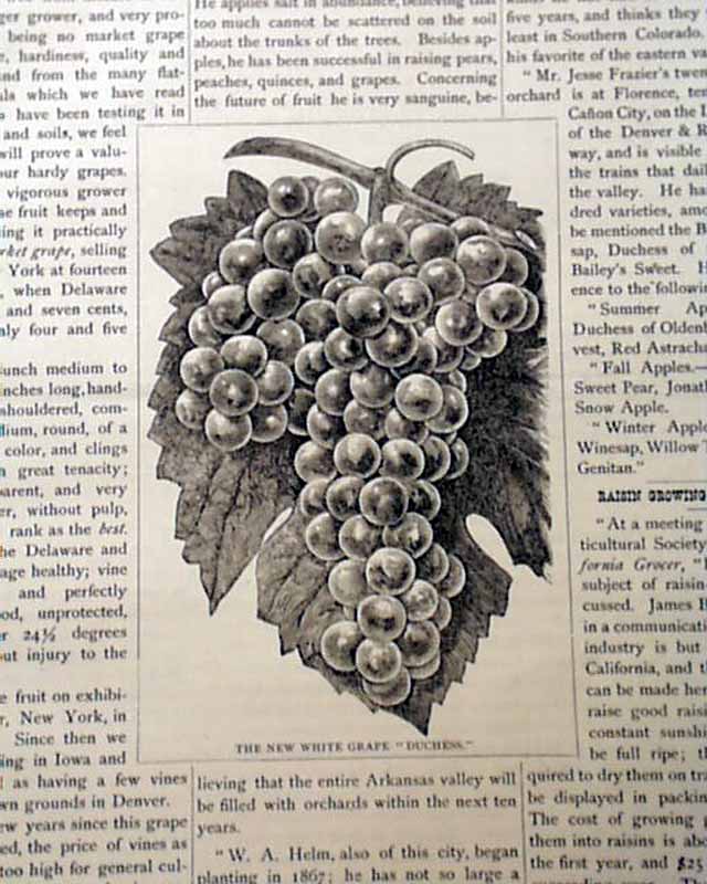 Title not listed in Gregory or Mott... - RareNewspapers.com